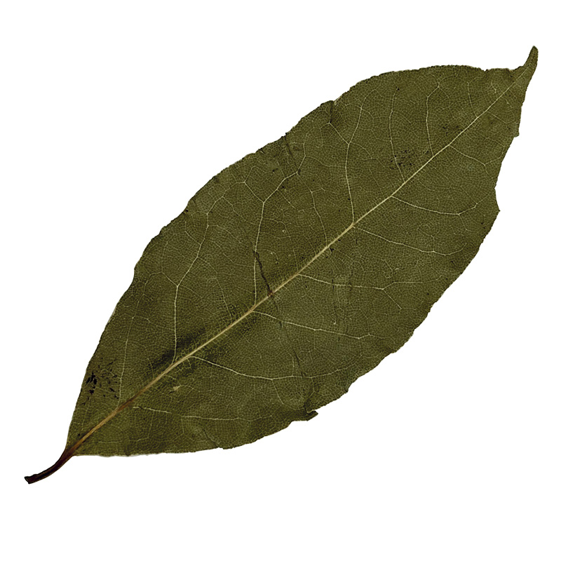 HOJA DE LAUREL 35g